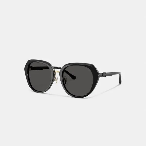 COACH Maxi Sculpted C Oversized Round Frame Sunglasses - Black