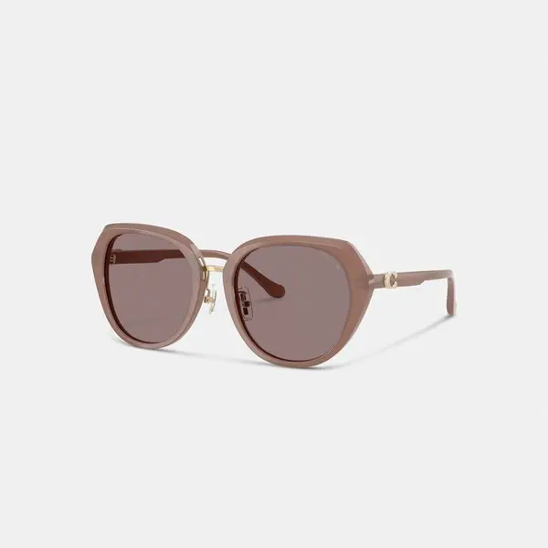 COACH Oversized Round Sunglasses - Milky Grey