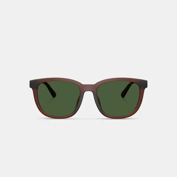 COACH Textured Square Sunglasses - Brown