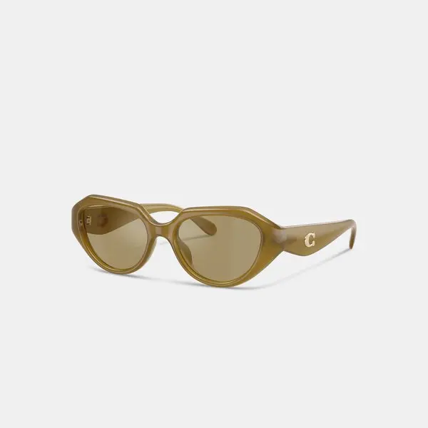 COACH C Hardware Geometric Sunglasses - Light Olive