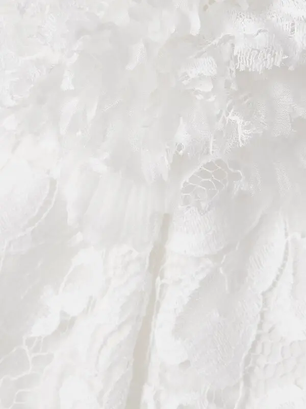 RODARTE Appliquéd Organic Cotton-blend Lace Gown