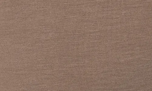Splendid Fitted T-shirt - Cedar Brown