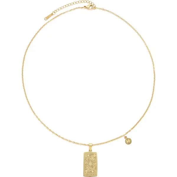 PETIT MOMENTS Zodiac Pendant Necklace - Goldisces