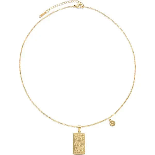 PETIT MOMENTS Zodiac Pendant Necklace - Goldquarius
