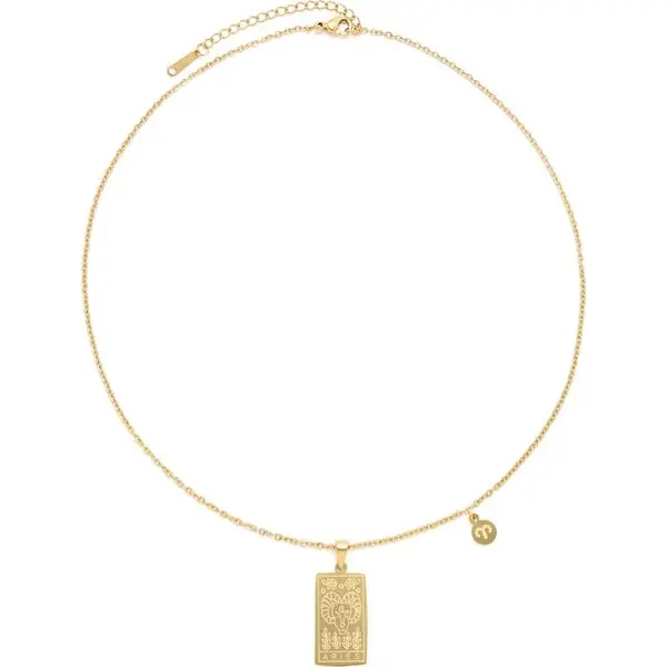 PETIT MOMENTS Zodiac Pendant Necklace - Goldries