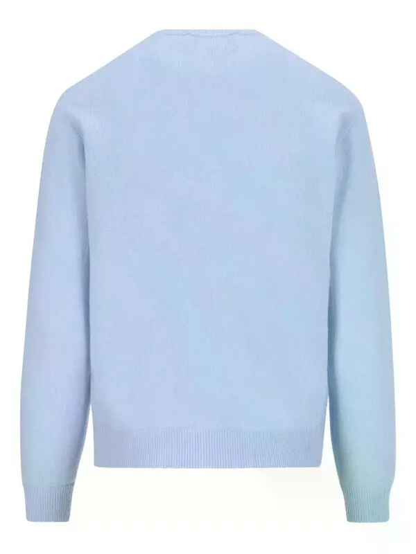 VANISÈ V-neck Cashmere Sweater