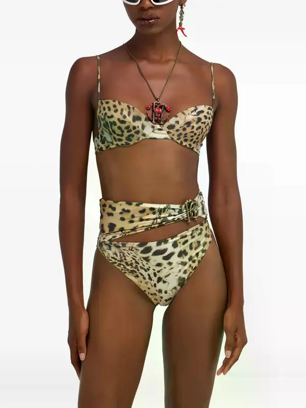 Roberto Cavalli Leopard-print Triangle Bikini Top