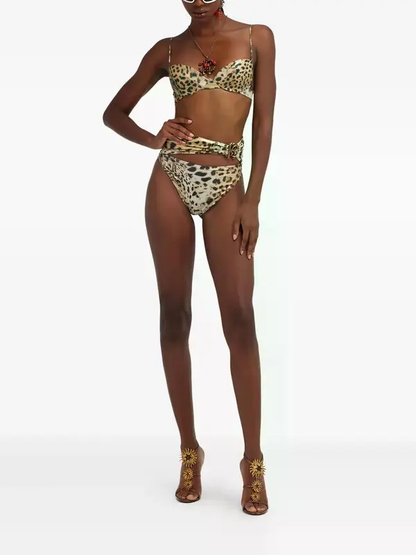 Roberto Cavalli Leopard-print Triangle Bikini Top