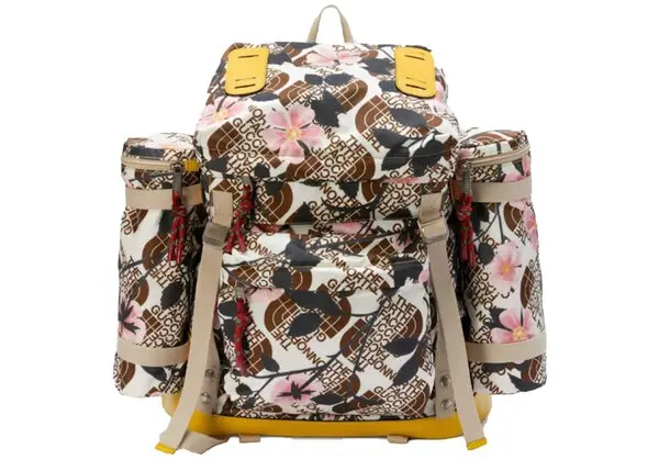 Gucci X The North Face Large Backpack - Brown