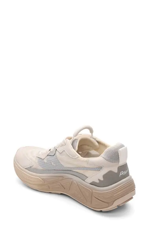 Ash Eagle Platform Sneakers