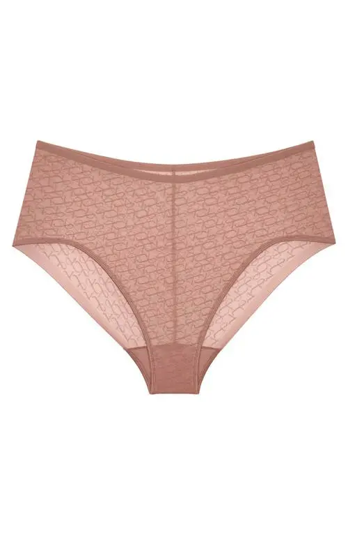 TRIUMPH Signature Sheer Brief Panties - Toasted Almond