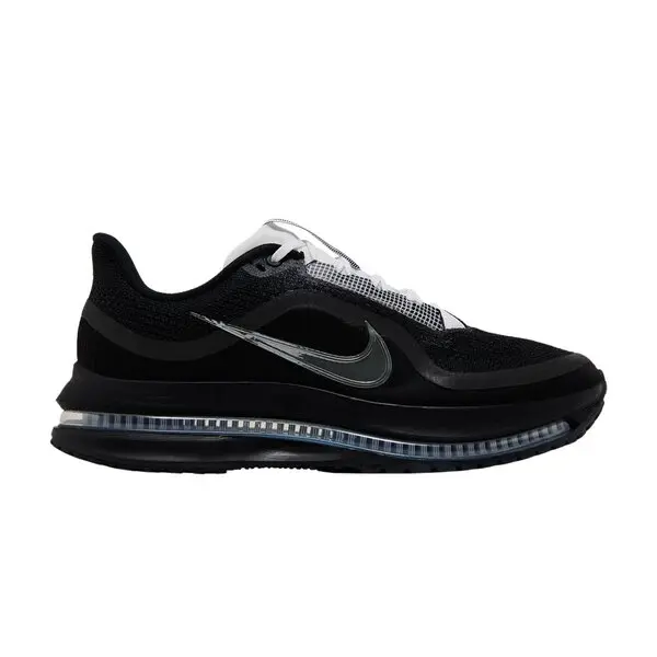 Nike Pegasus Premium Sp - Black