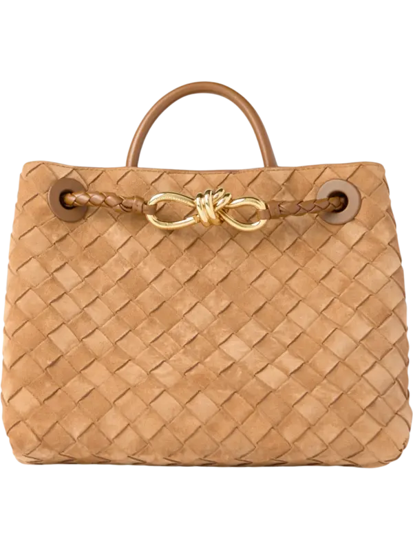 Bottega Veneta Andiamo Small Intrecciato Suede Tote - Brown