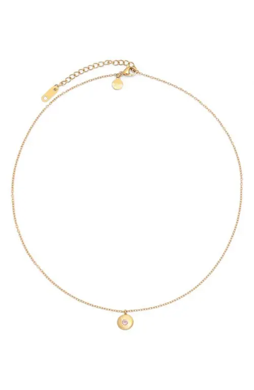 PETIT MOMENTS Birthstone Disc Pendant Necklace - Goldune