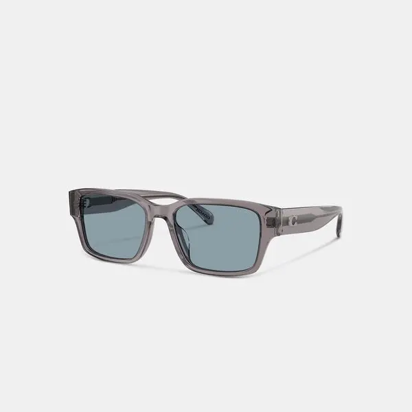 Coach Maxi Sculpted C Narrow Square Sunglasses - Transparent Gray