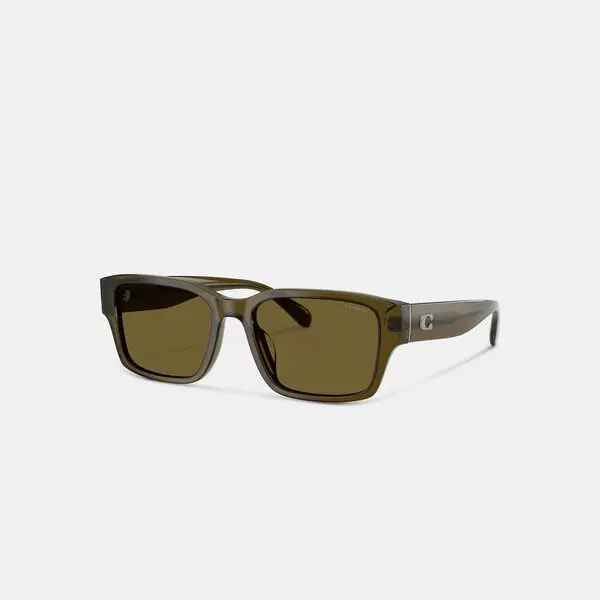 COACH Maxi Sculpted C Narrow Square Sunglasses - Transparent Green