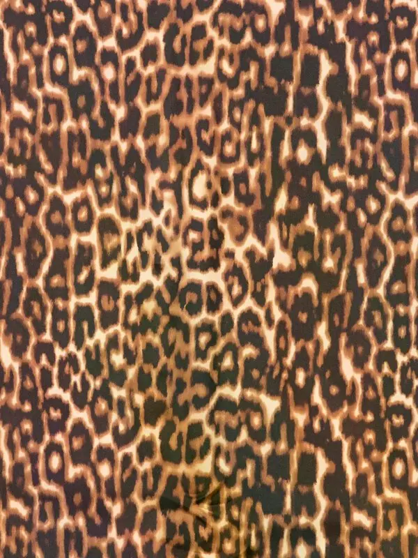 LANVIN Leopard-print Silk Scarf - Brown