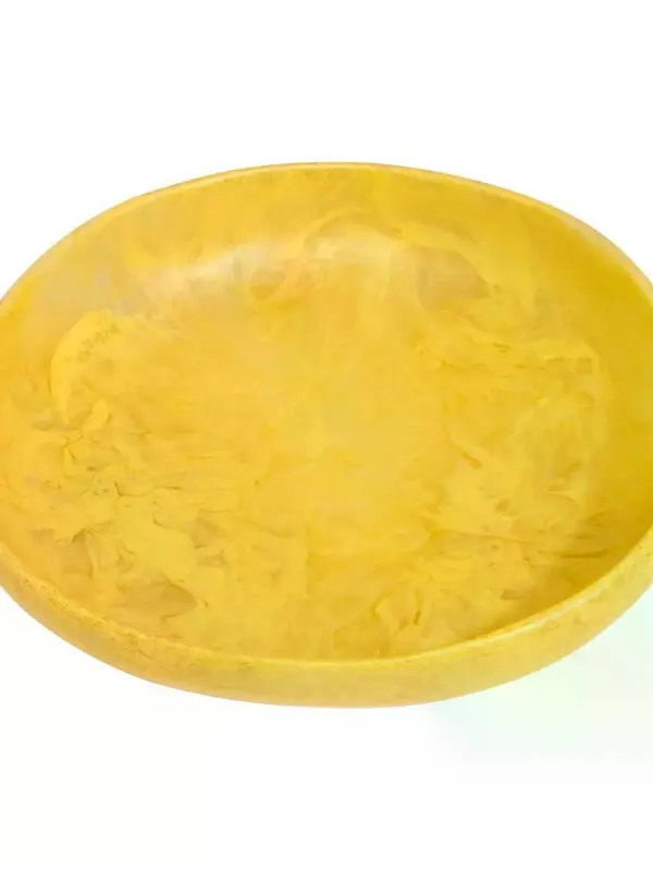 Dinosaur Designs Medium Dinosaur Bowl