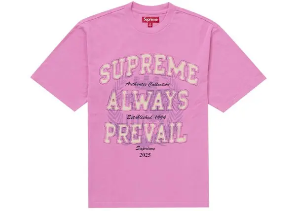 Supreme Always Prevail Short Sleeve Top - Pink