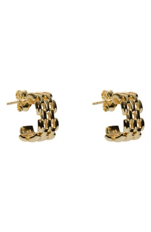 Argento Vivo Panthera Wide Hoop Earrings - Gold