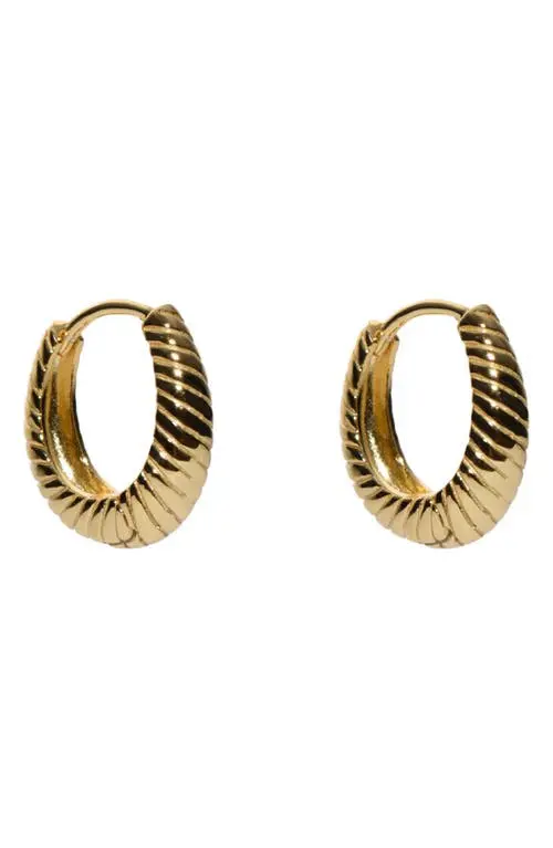 Argento Vivo Ribbed Hoop Earrings - Gold