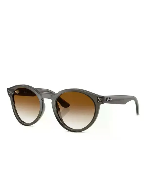 Ray-ban Round-frame Sunglasses