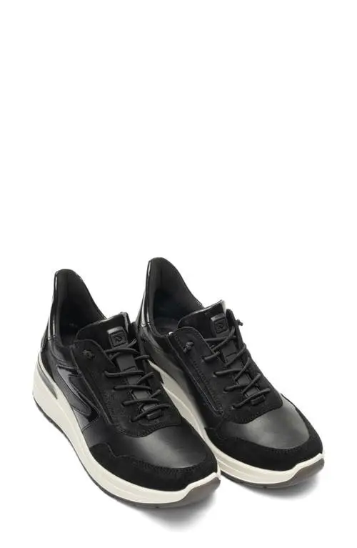 ARA Galicia Sneaker - Black