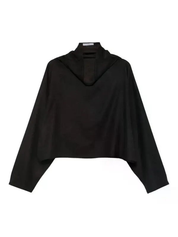 Dusan Batwing-sleeve Top - Brown