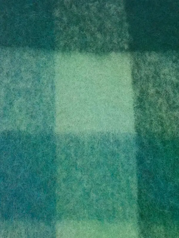 Acne Studios Checked Fringed Scarf