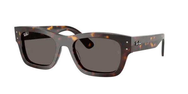 Ray-ban Sunglasses - Dark Grey