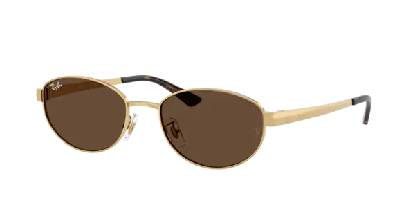 Ray-ban Sunglasses - Dark Brown