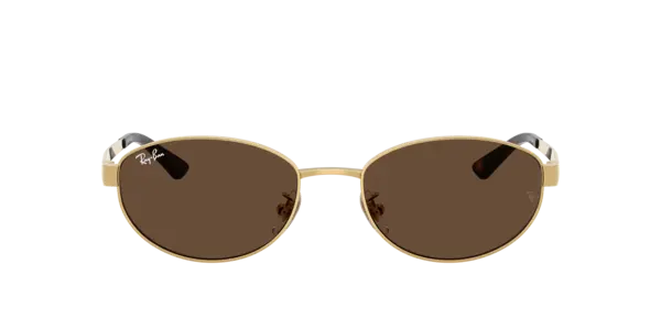 Ray-ban Sunglasses - Dark Brown