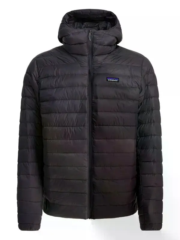 Patagonia Hooded Down Jacket