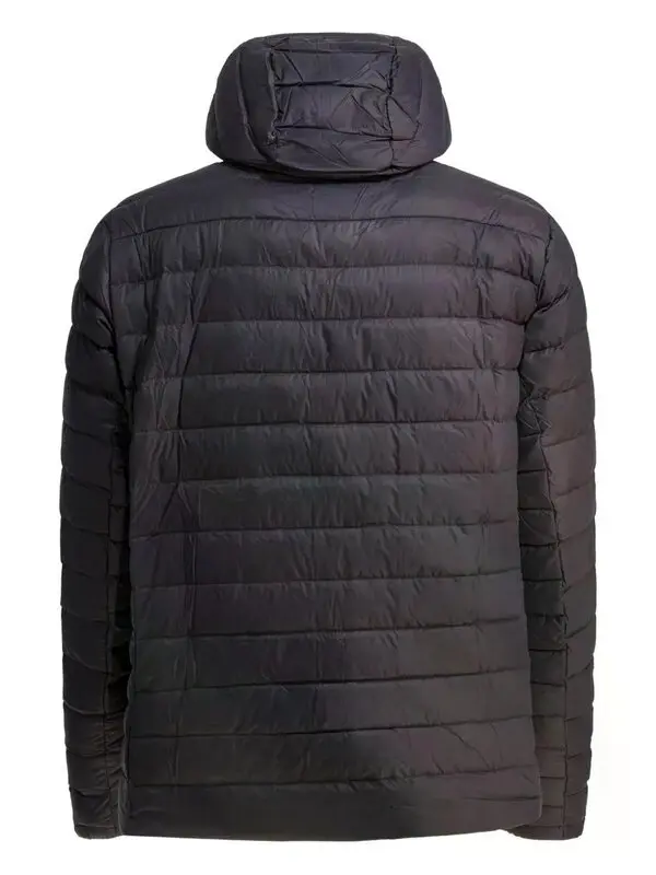 Patagonia Hooded Down Jacket
