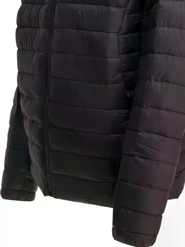 Patagonia Hooded Down Jacket