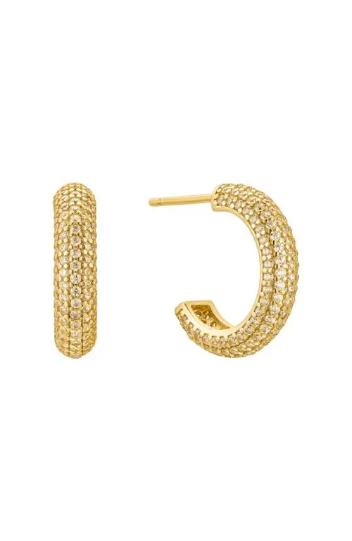 UNTAMED PETALS Brookes Crystal Hoop Earrings - Gold