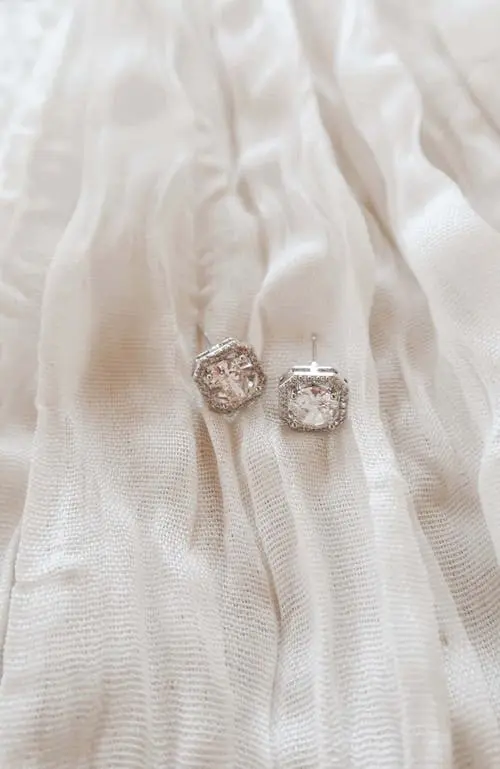 UNTAMED PETALS Adriana Crystal Stud Earrings - Silver