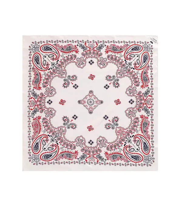 Max Mara Siam Foulard Scarf - Multicolor