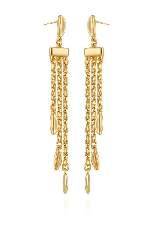 Vince Camuto Long Chain Tassel Earrings