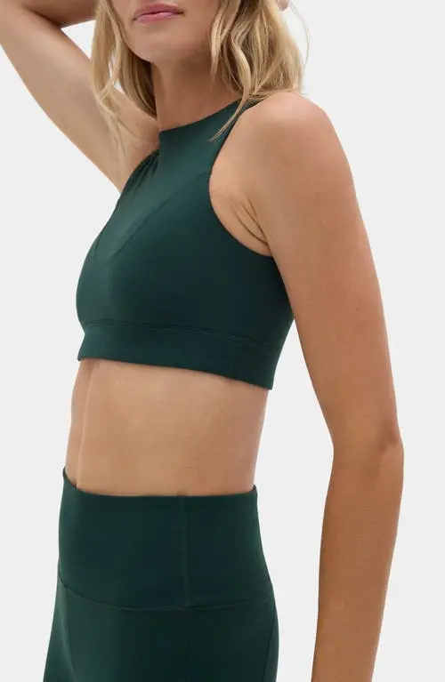 HALFDAYS Trail Sports Bra - Alpine