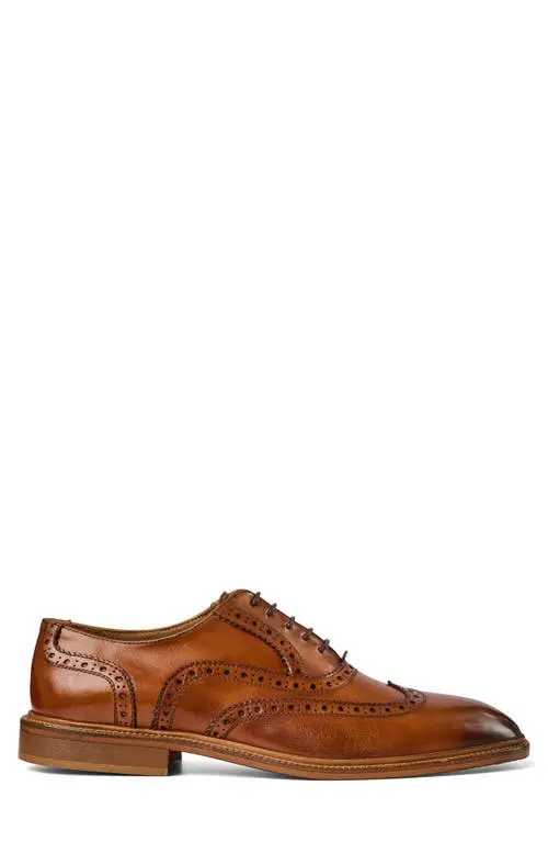 Bruno Magli Alfonso Wingtip Oxford - Cognac