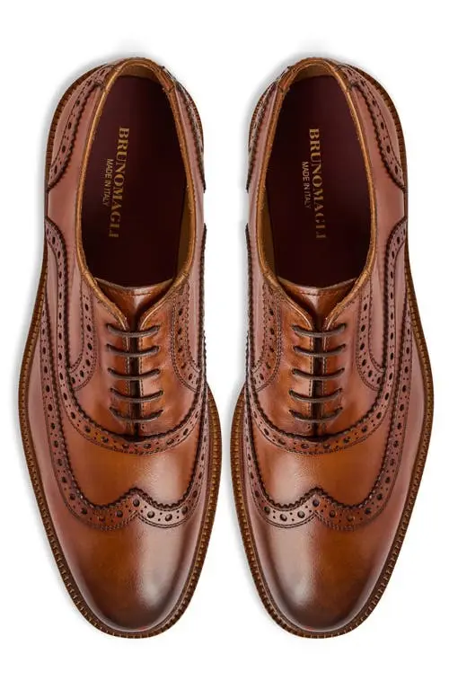 Bruno Magli Alfonso Wingtip Oxford - Cognac