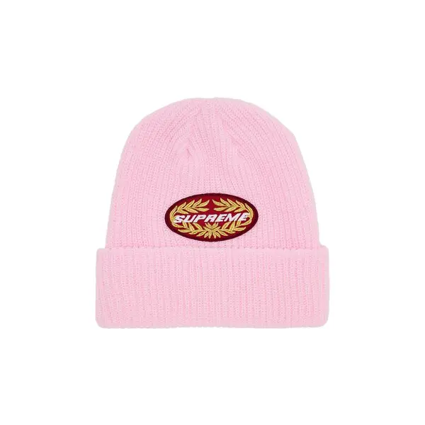 Supreme Terminal Beanie - Pink