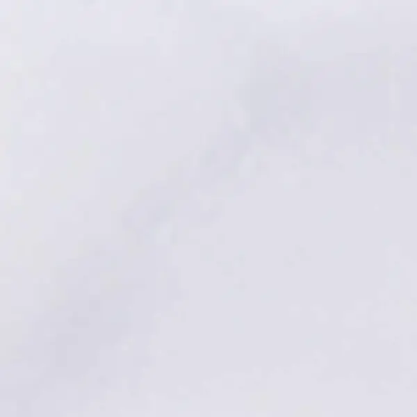 JACQUES MARIE MAGE Acetate Yves Sunglasses