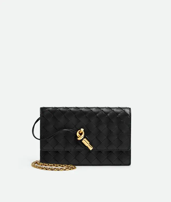 Bottega Veneta Andiamo Pouch On Chain - Black