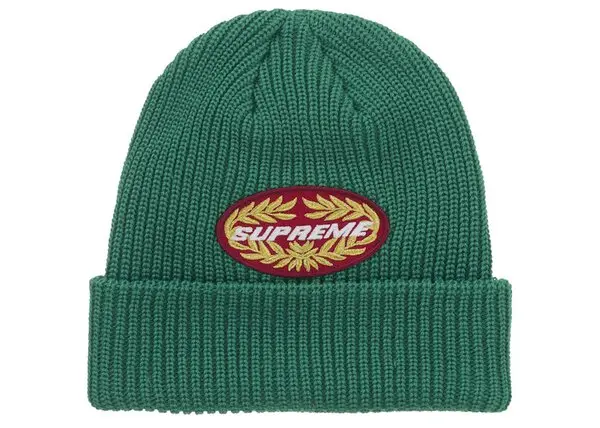 Supreme Terminal Beanie - Green