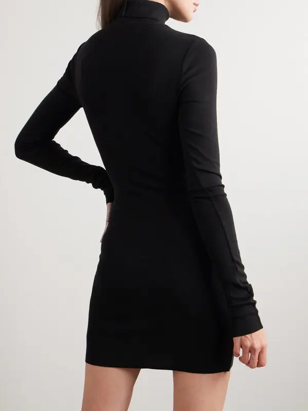 Eterne Ribbed Mini Turtleneck Dress