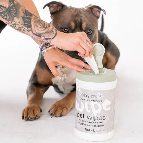 DEXYPAWS Pet Wipes Oatmeal & Vitamin E