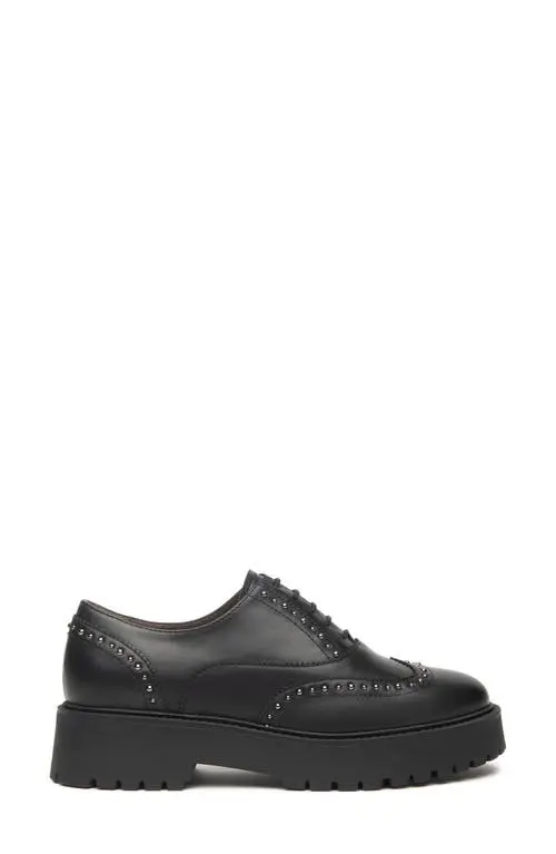 NEROGIARDINI Studded Wingtip Derby
