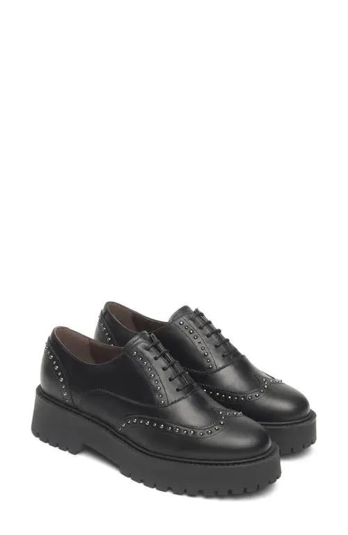 NEROGIARDINI Studded Wingtip Derby